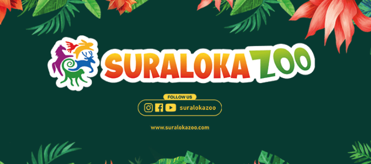 Suraloka Interactive Zoo - Wahana Edukasi Terbesar di Kaliurang